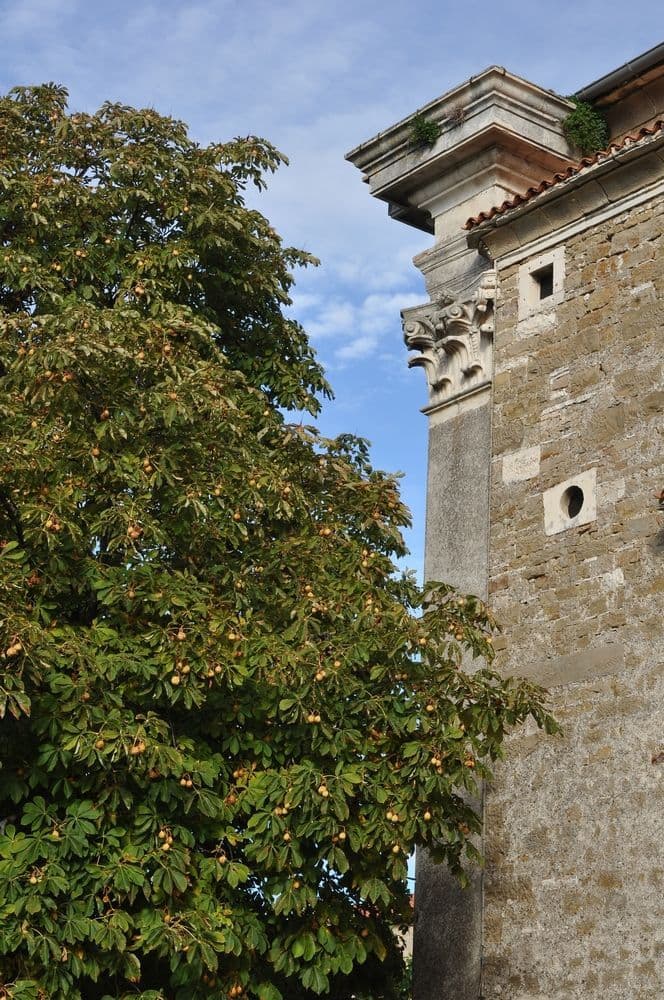 Grožnjan, Croatia - What to visit and experience? | Colours of Istria