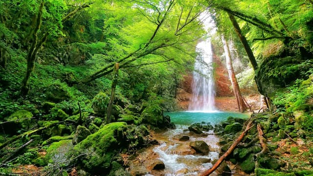 Butori abyss and Forest Poets in Grožnjan | Colours of Istria