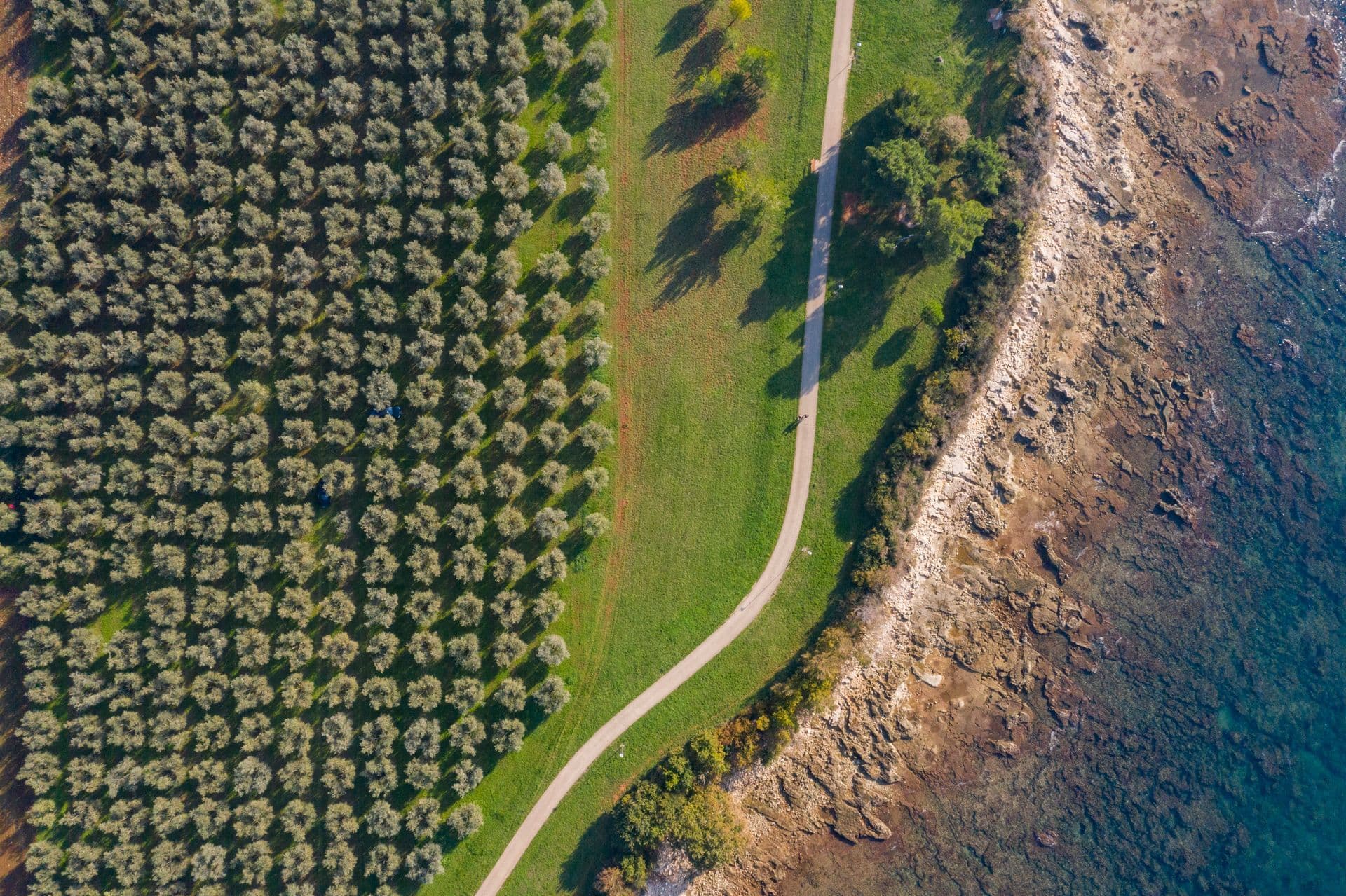 Novigrad - Cittanova / Što posjetiti i doživjeti? | Colours of Istria