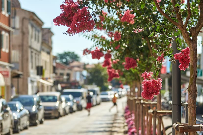 Umag, Croatia - What to visit and experience? | Colours of Istria