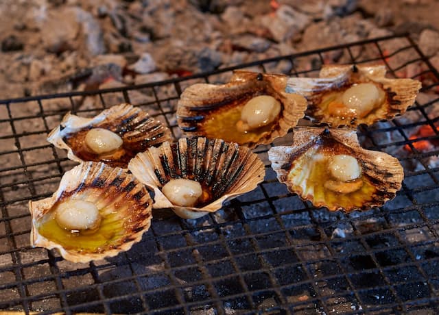 Where to find and how to choose shellfish | Colours of Istria