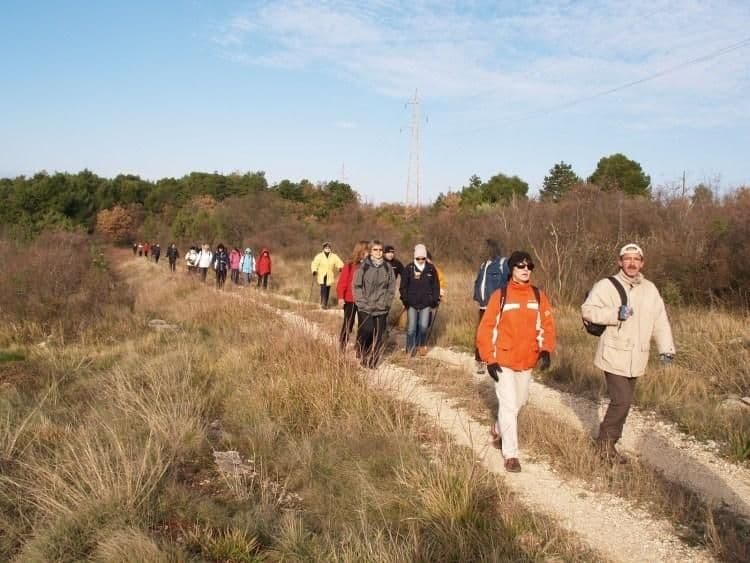 What to visit and experience in Buje? | Colours of Istria