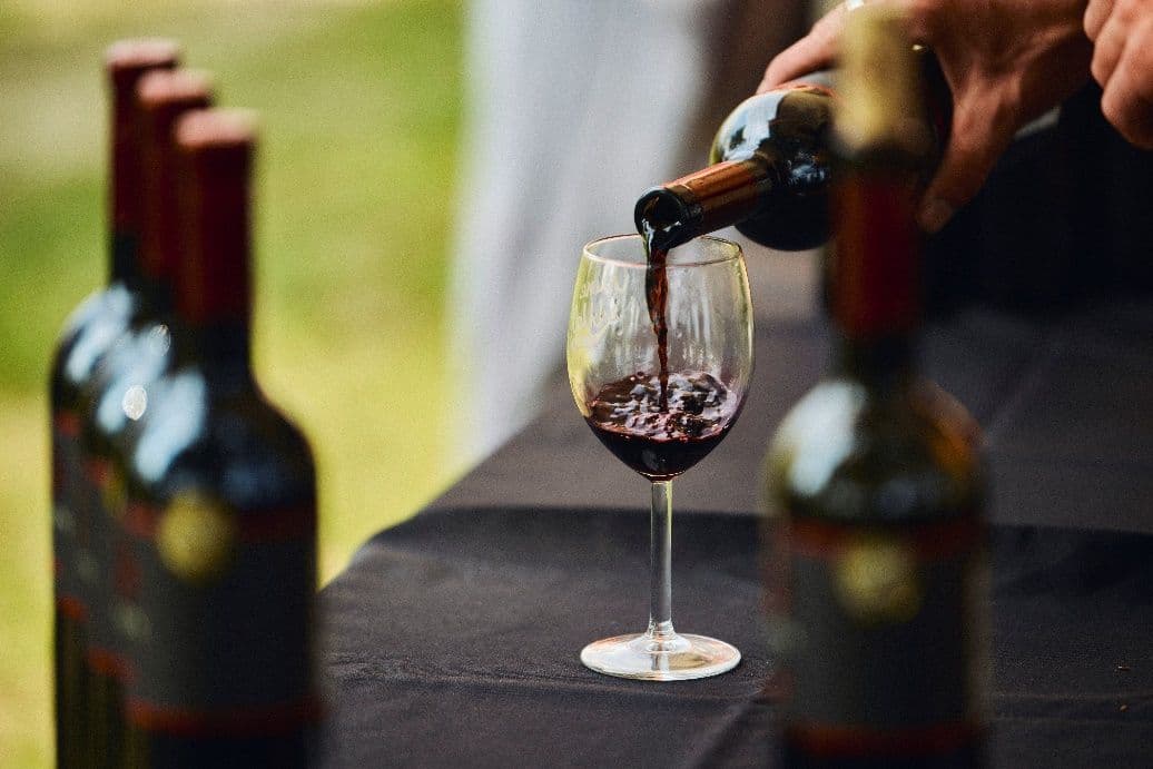 Teran - Indigenous Istrian grape variety | Colours of Istria