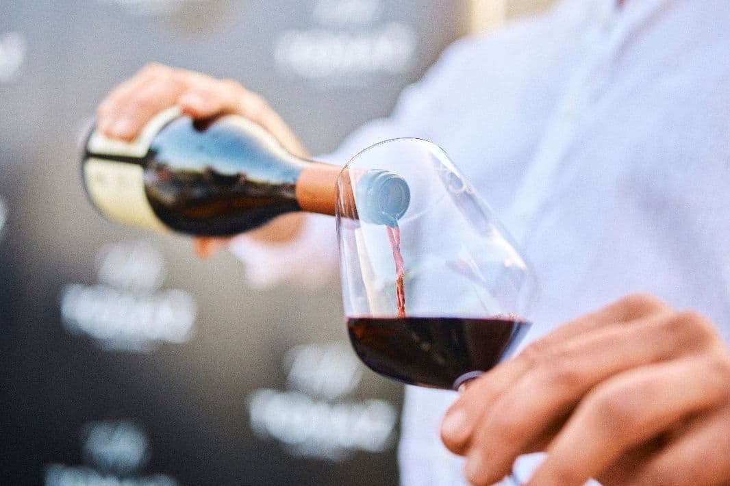 Teran - Indigenous Istrian grape variety | Colours of Istria