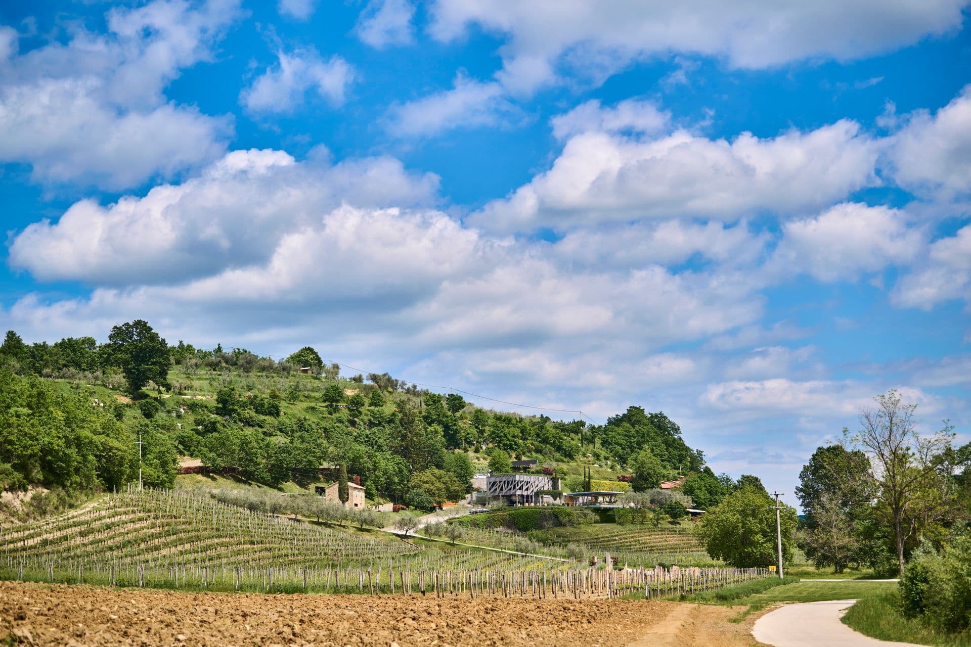 Momjan - interesting facts you didn't know | Colours of Istria