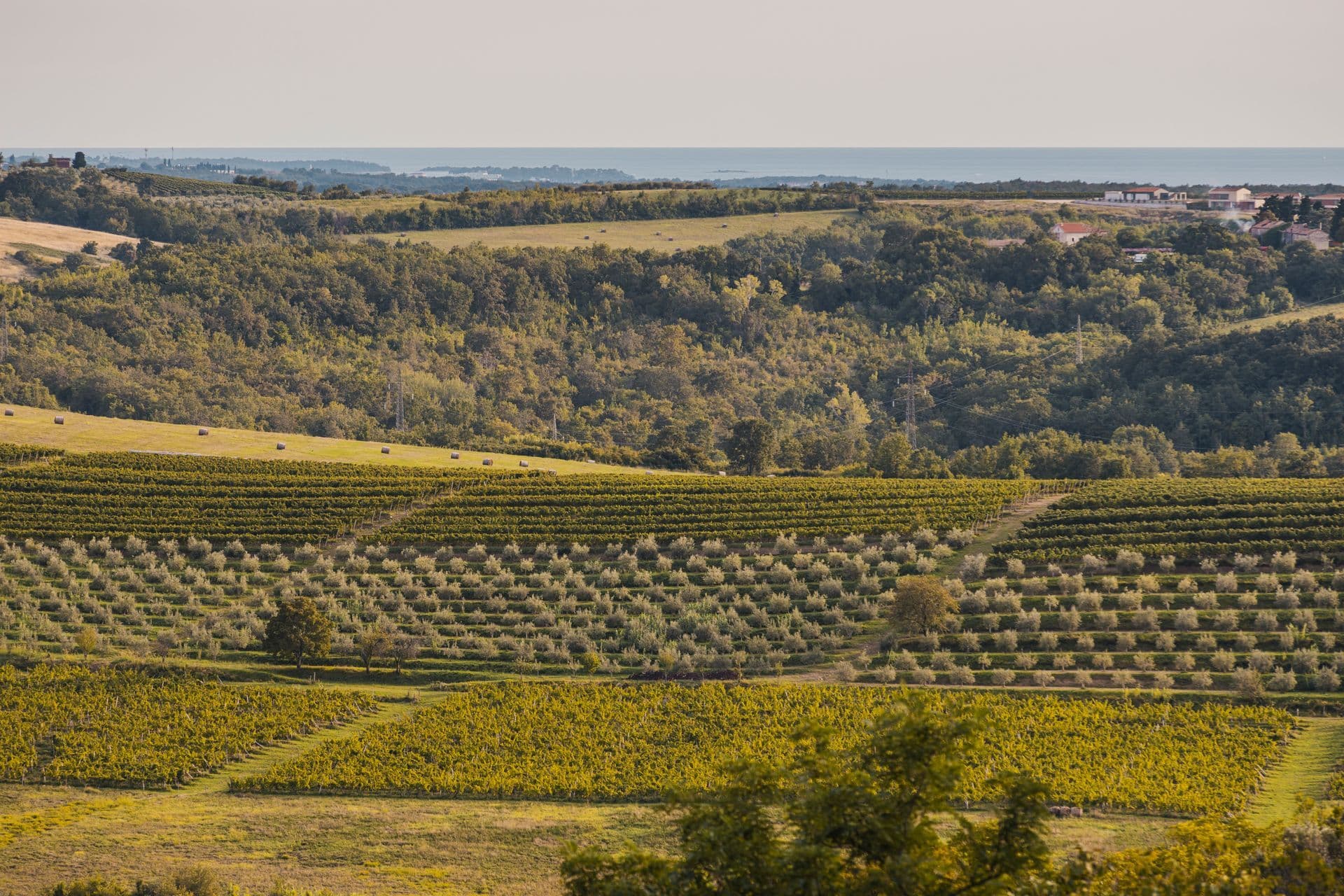 5 things to visit in Buje, Istria | Colours of Istria